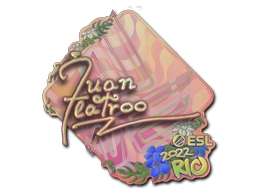 Sticker | juanflatroo (Holo) | Rio 2022 - pattern.wiki