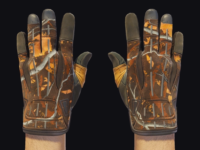 Sport Gloves | Big Game - pattern.wiki
